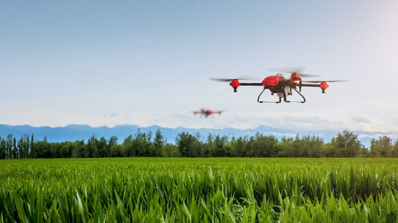 Beneficios de utilizar drones para la siembra y riego de precisión ...
